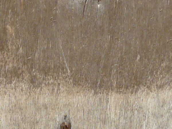 painted grey wood texture 0033 - Texturelib